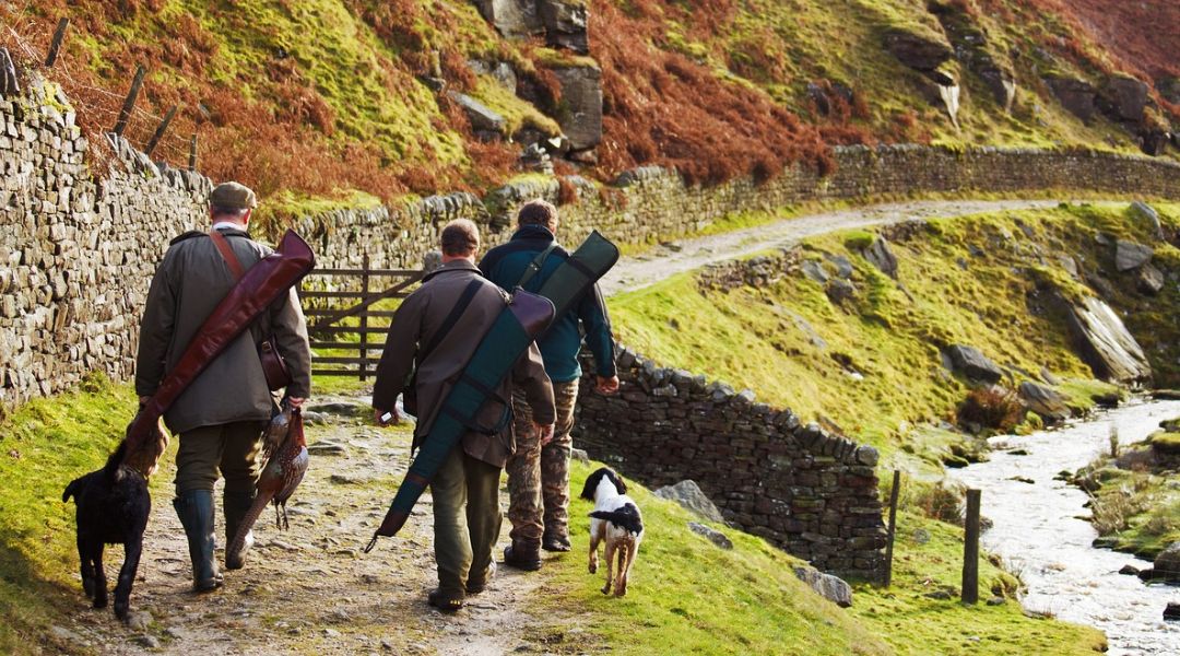 How to Use Thermal Cameras for Covert Animal Observation